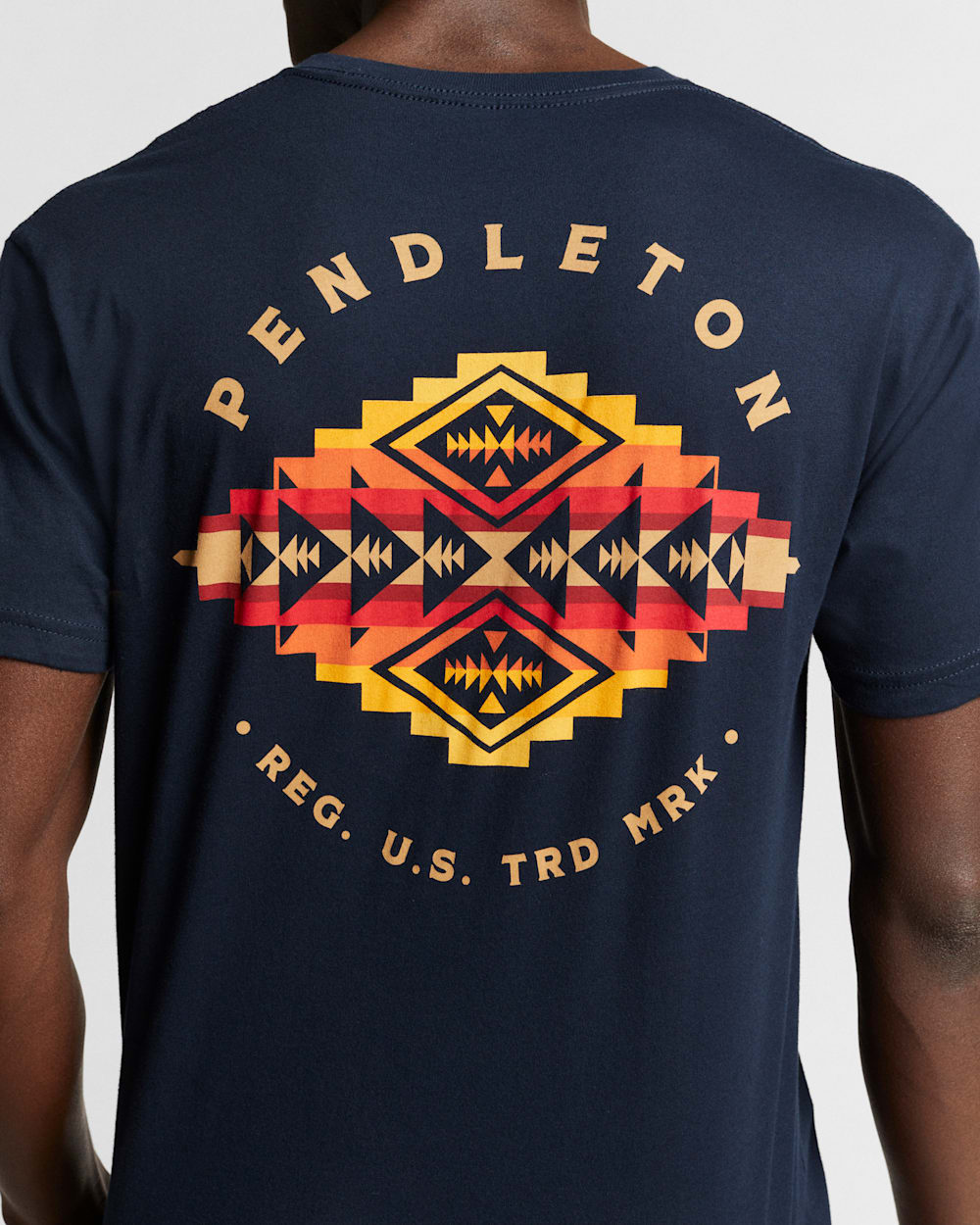 MEN'S PINTO MOUNTAINS GRAPHIC TEE