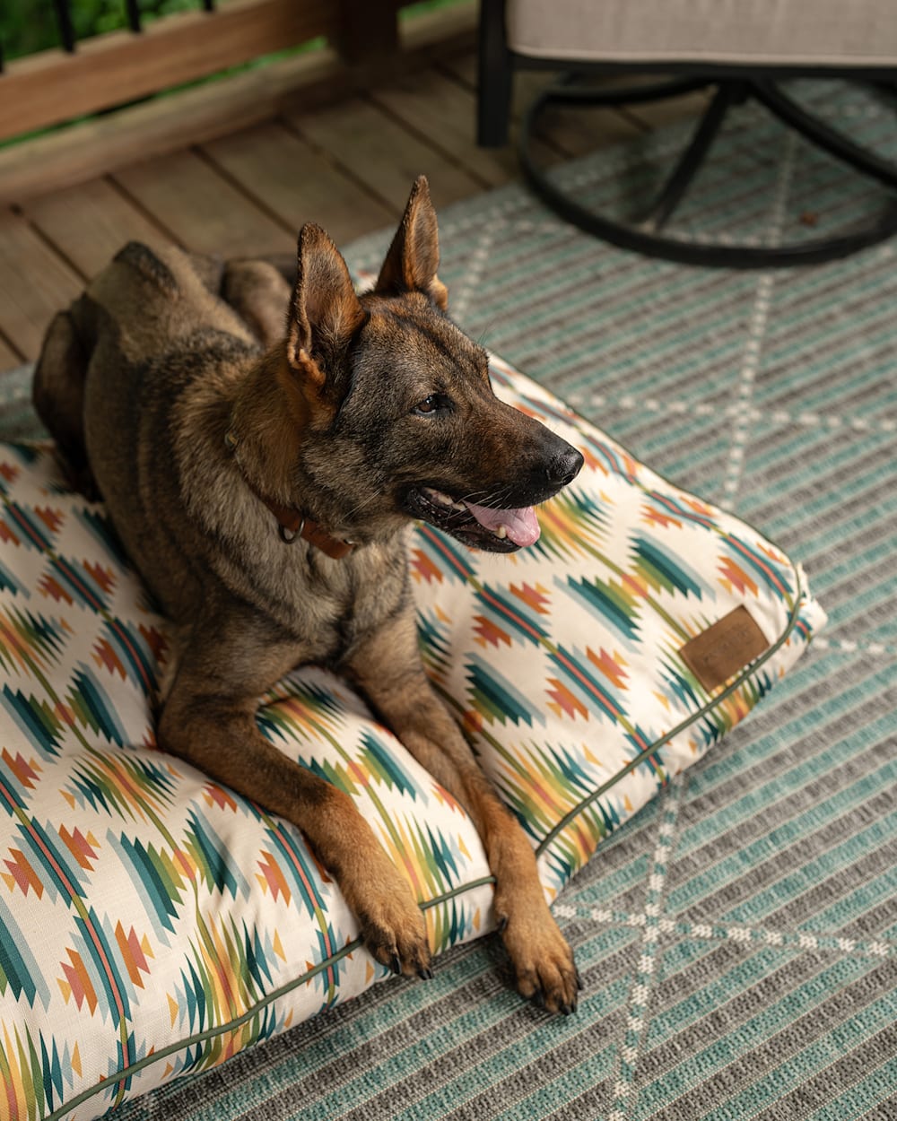 FALCON COVE ALL SEASON PET BED - NAPPER | Pendleton