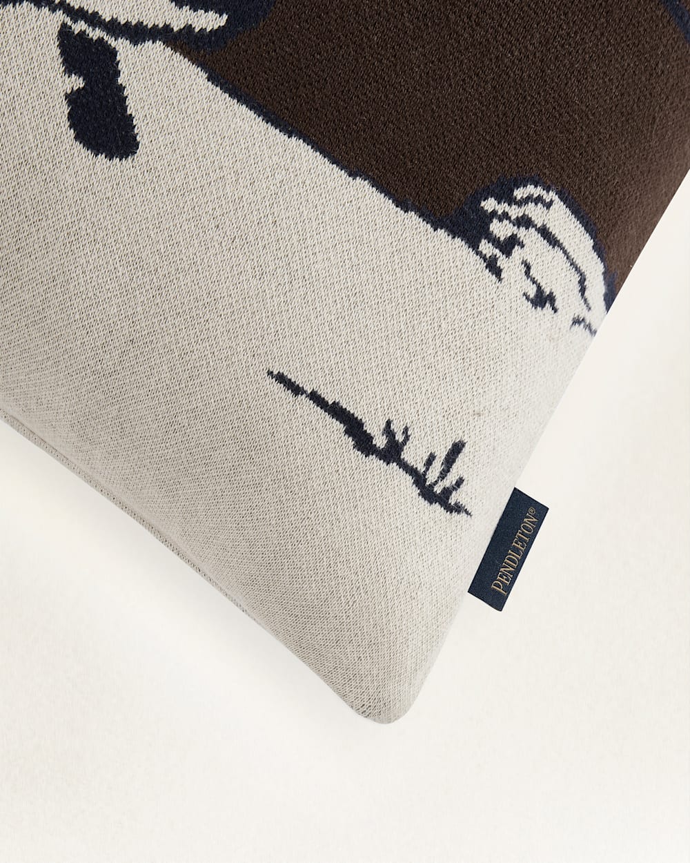 Shop Desert Rider Knit Pillow | Pendleton