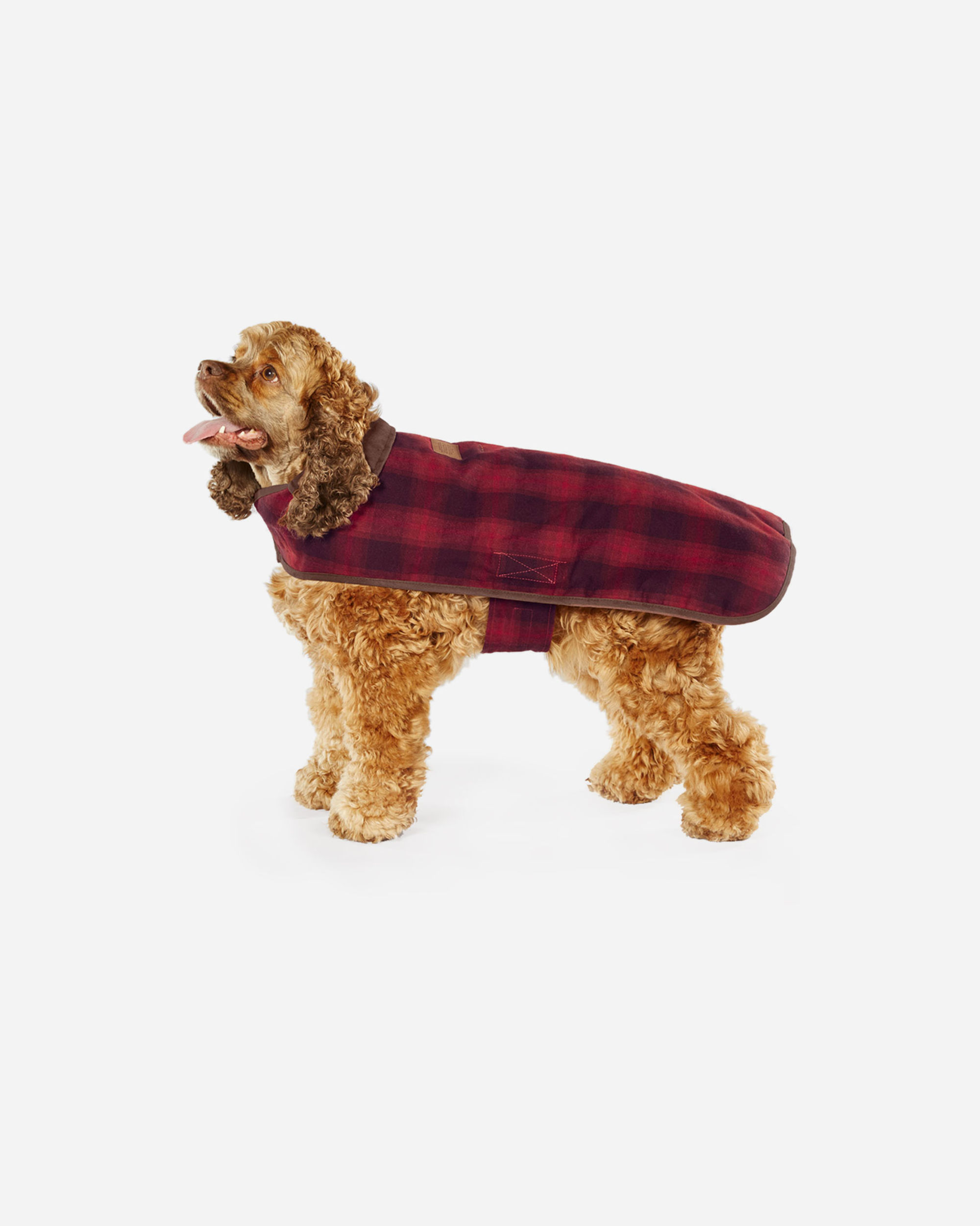 RED OMBRE PLAID DOG COAT