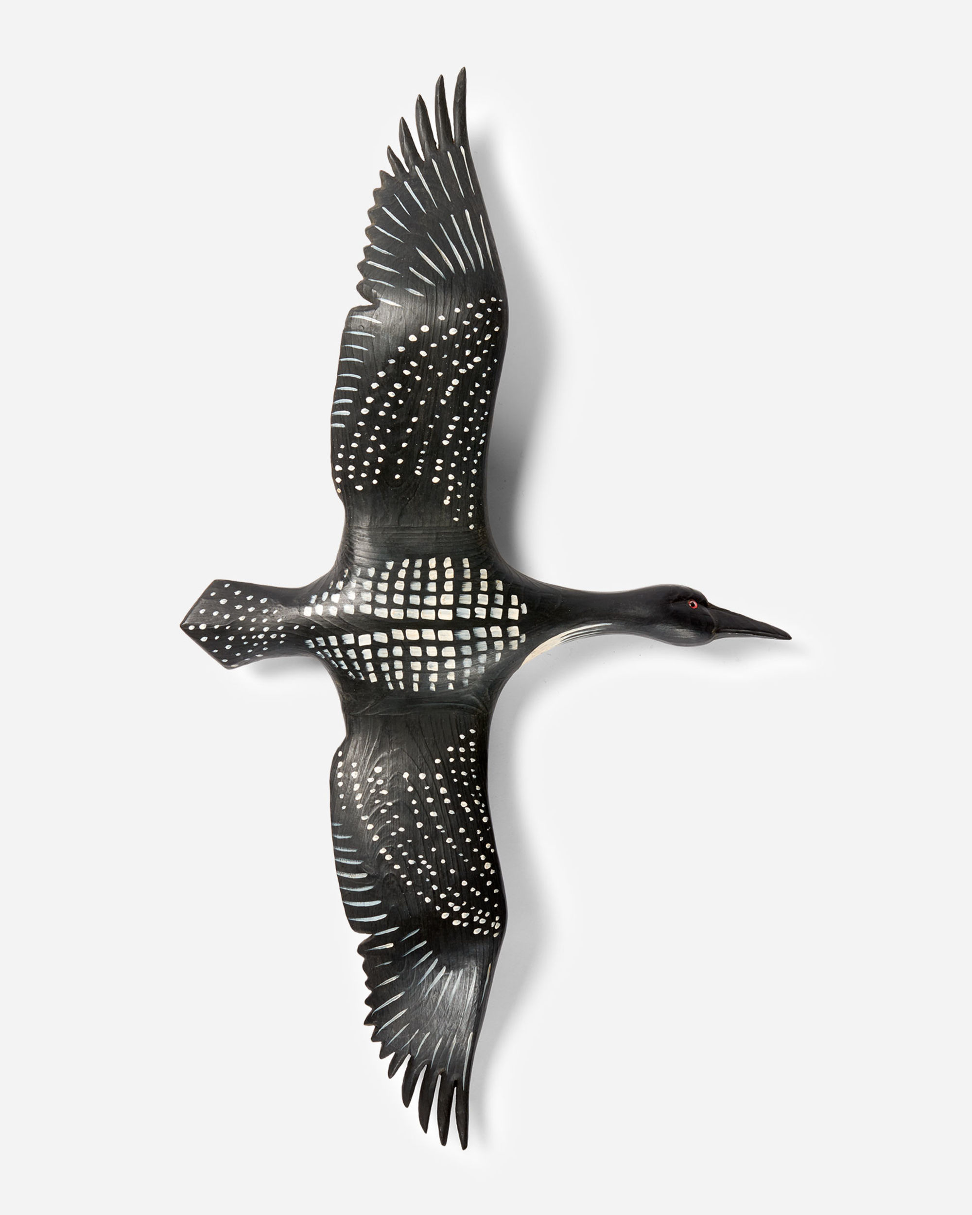 LOON IN FLIGHT | Pendleton