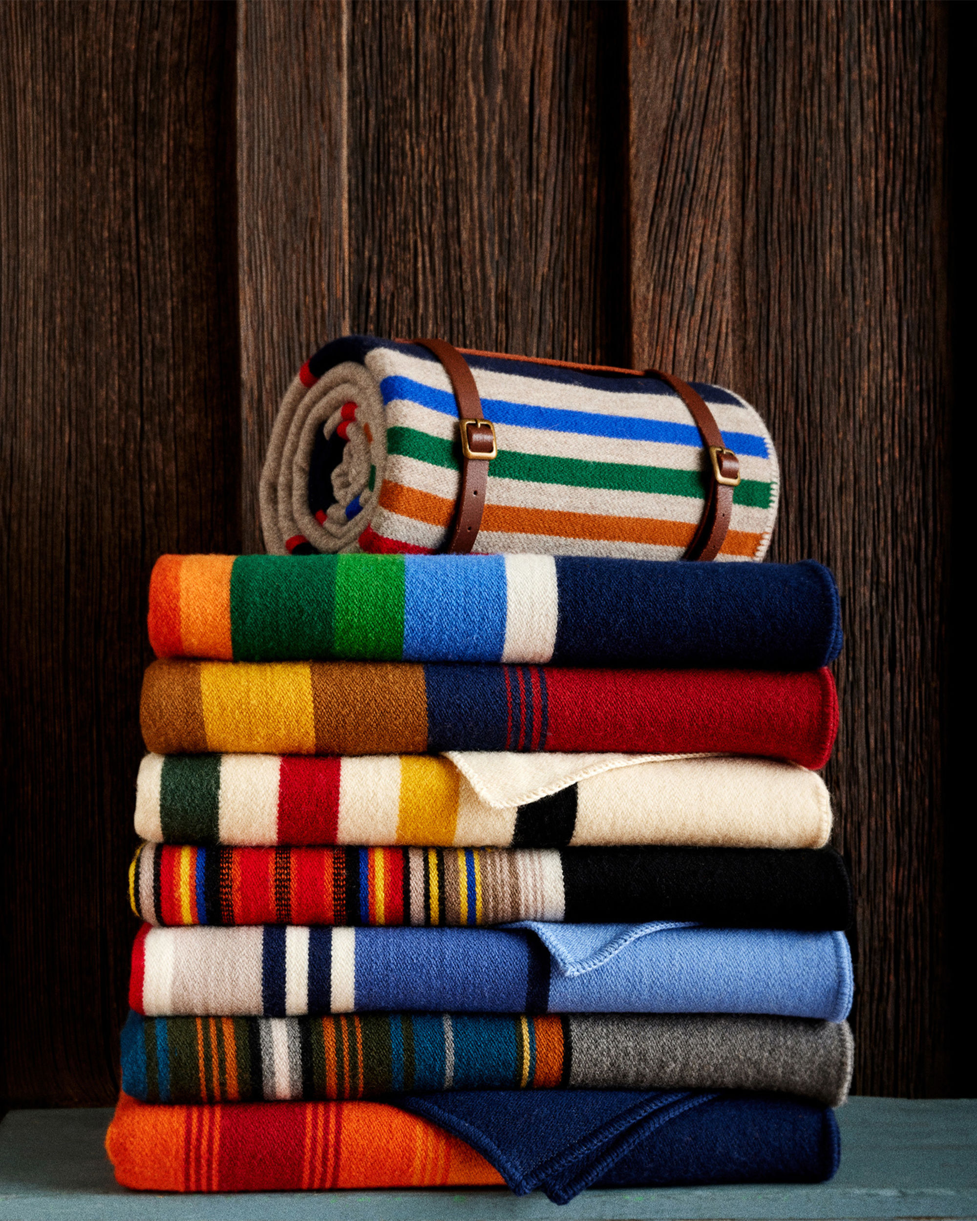 Acadia National Park Throw with Carrier | Pendleton